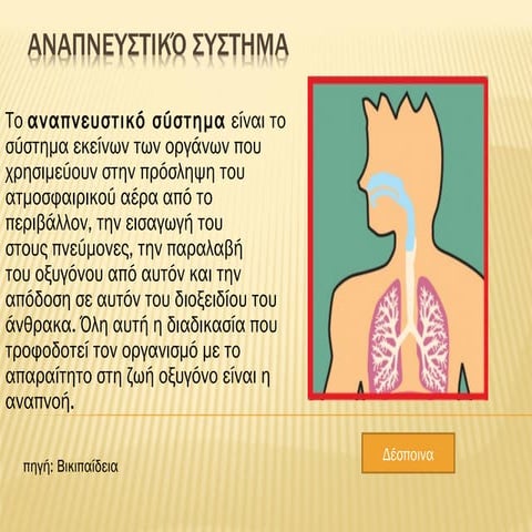 Αναπνευστικό Συστημα | PPT