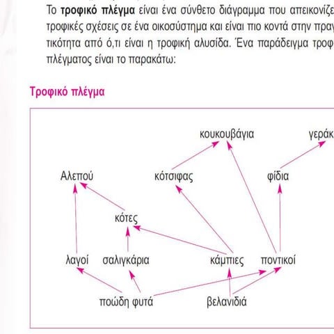 τροφικό πλέγμα | PPTX