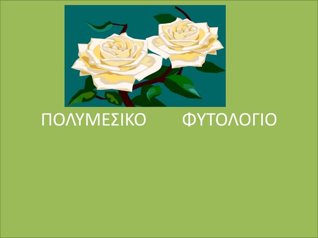 Rational and formula | PPTX | Chemistry | Science