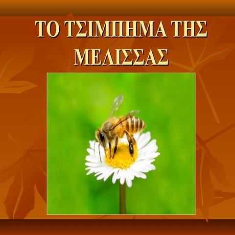 Τα προϊόντα της μέλισσας | PPT