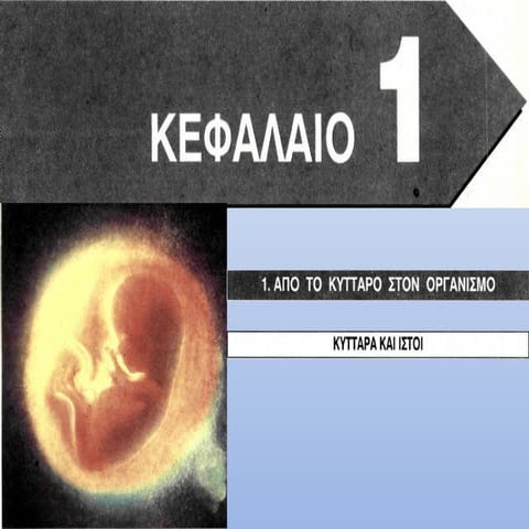 Μάθημα: Βιολογία. Α' Λυκείου. 1ο Κεφ.-Σημειώσεις σχολικού βιβλίου | PPT