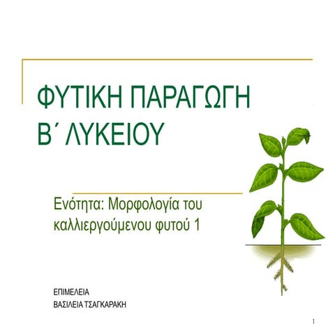 μορφολογία του καλλιεργούμενου φυτού | PPT