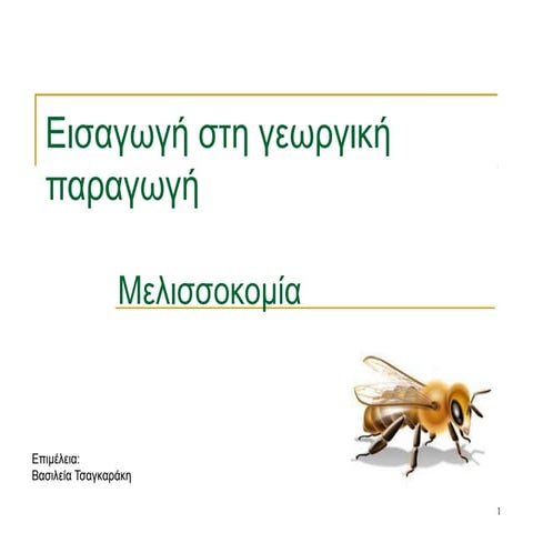 Ο θαυμαστός κόσμος της μέλισσας | PPT