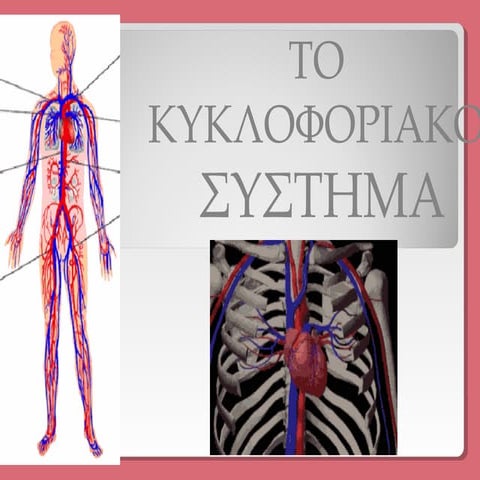 μικρή και μεγάλη κυκλοφορία | PPT