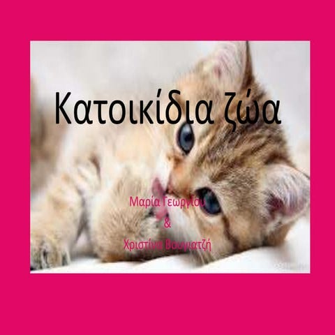 τα κατοικίδια ζώα | PPT