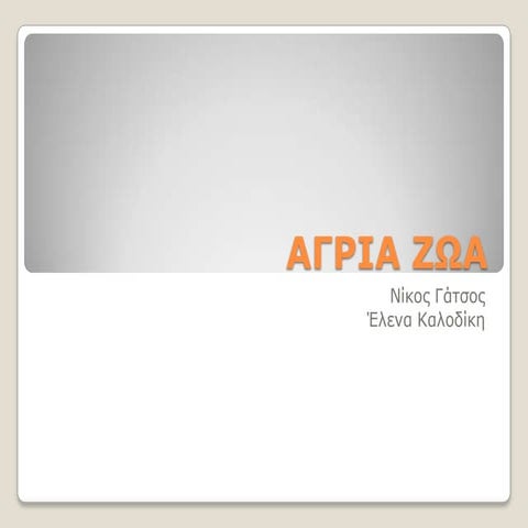 αγρια ζωα | PPTX