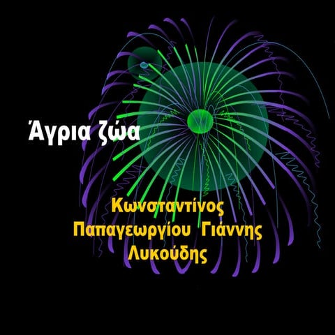 αγρια ζωα! | PPT