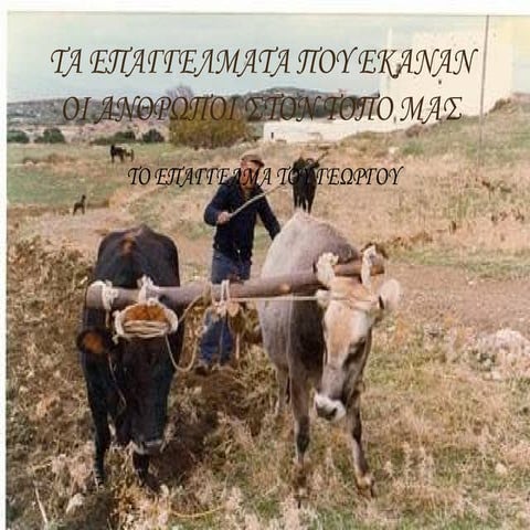 επαγγέλματα στα ζερβοχώρια | PPT