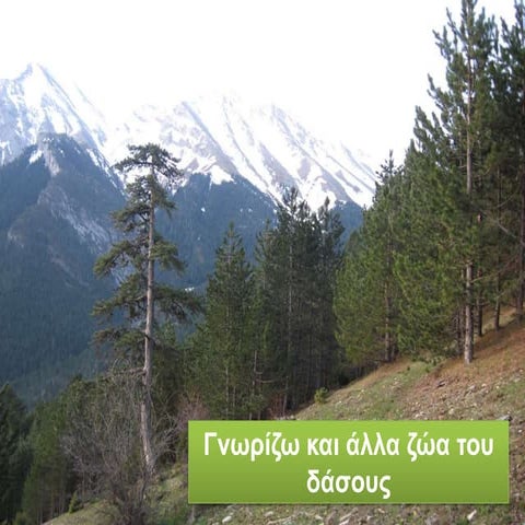 ΒΙΟΛΟΓΙΑ_ΤΕΣΤ_ΠΡΟΣΟΜΟΜΟΙΩΣΗ_2025 Γ ΛΥΚΕΙΟΥ.pdf