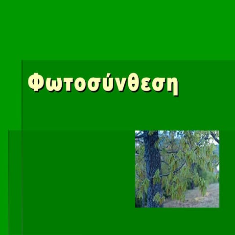βατζολας σαμαρας | PPT