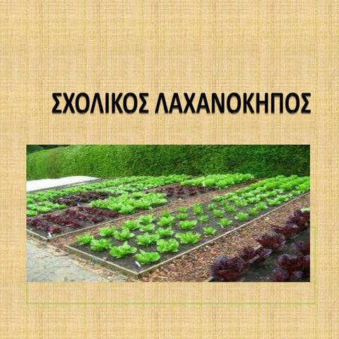 παρουσιαση λαχανοκηπος | PPTX