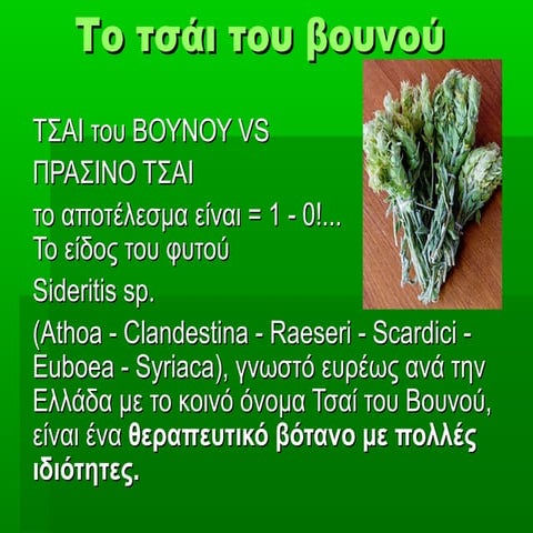 Το τσάι του βουνού | PPT