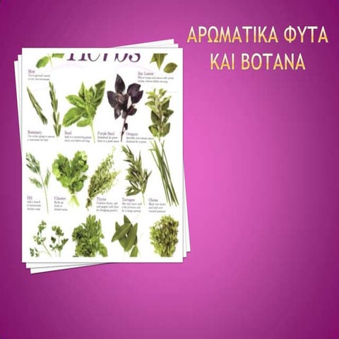 κρητικα βοτανα 2 | ODP