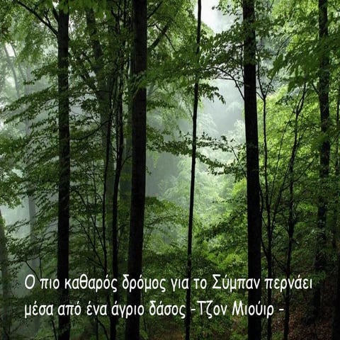 Εισαγωγή στην περιβαλλοντική εκπαίδευση | PDF