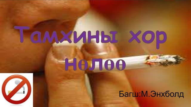 Enkhbold populyatse | PPT