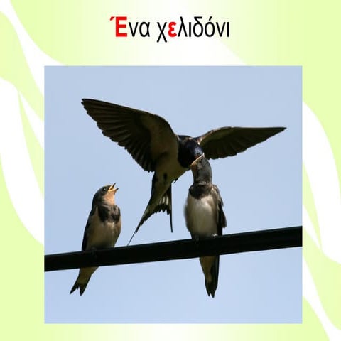 Prezentacja Zegary | PPT