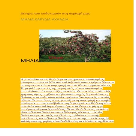 Metamorphosis scheme of work, Surreal Combinations | PPTX