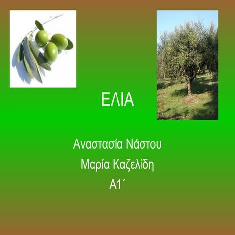 ελια μαρία αναστασία | PPT