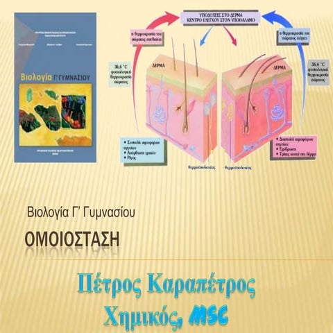 Ομοιόσταση | PPTX