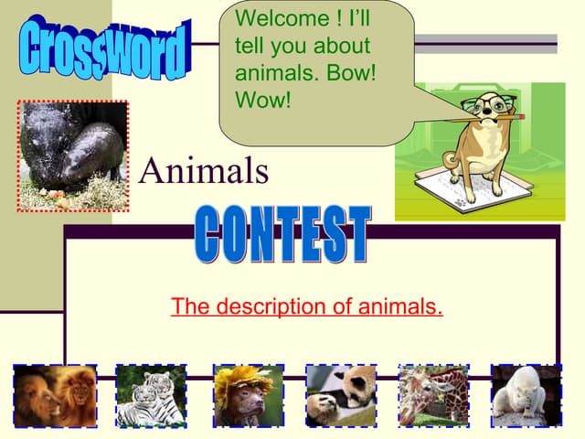 At The Zoo - Animals | PPT