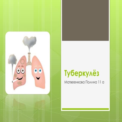 туберкулёз | PPT