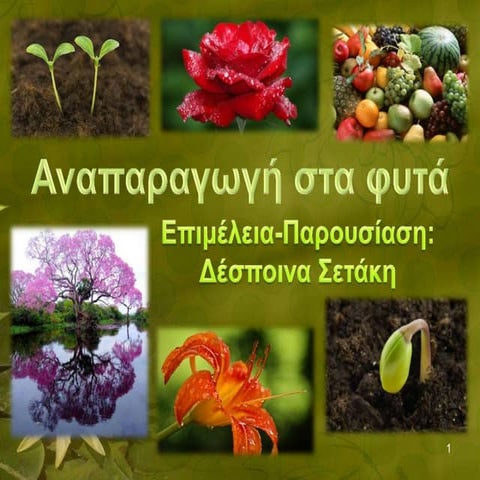 Βιολογία Γ΄ Γυμνασίου (18 διαγωνίσματα) | PDF
