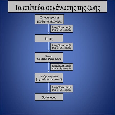 Τα επίπεδα οργάνωσης της ζωής | PPT