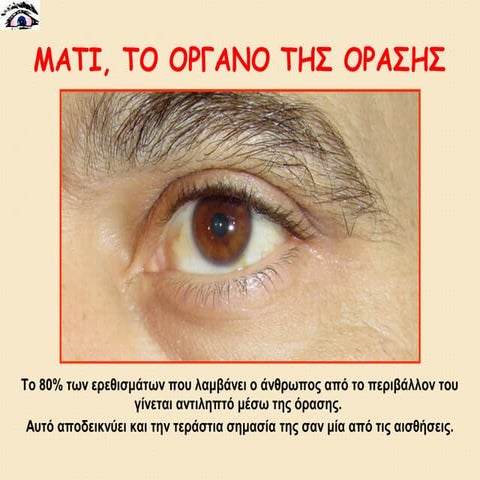 το μάτι μας | PPT