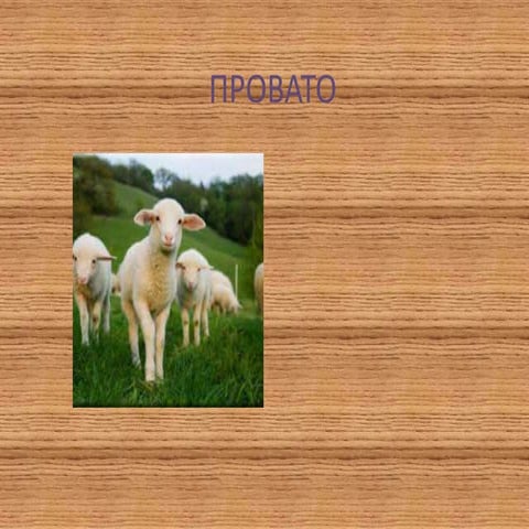 προβατο | PPTX