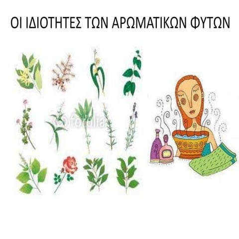 ιδιοτητες αρωματικων φυτων - ελαιολαδου | PPTX