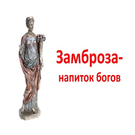 Замброза - эликсир молодости! | PPT