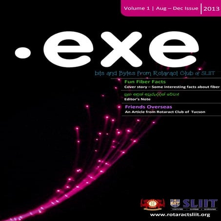 " .exe " | PDF