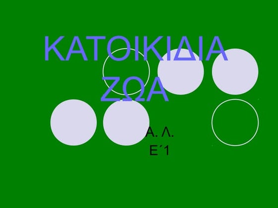 κατοικιδια ζωα | PPT