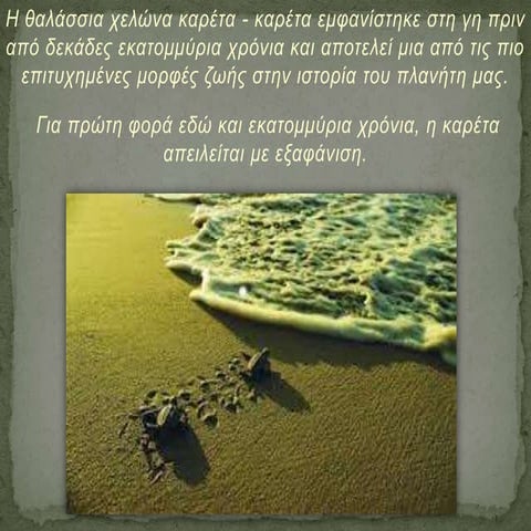 χελωνα καρετα καρετα | PPTX