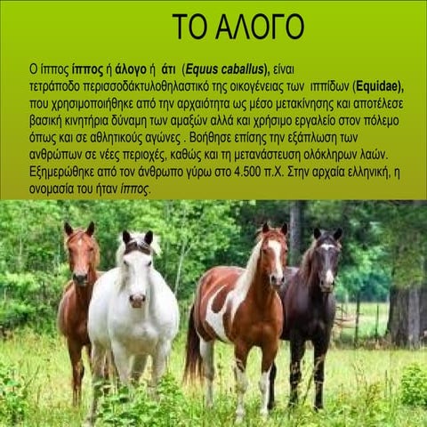 το αλογο | PPT