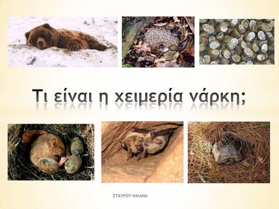 ΤΑ ΟΝΕΙΡΑ ΤΩΝ ΣΚΟΥΠΙΔΙΩΝ | PDF