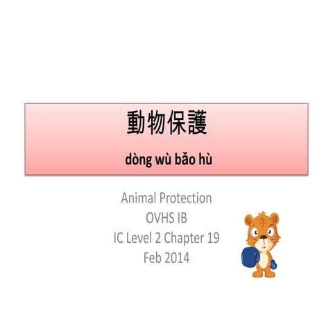 Mandarin, Animal Protection, IB | PPTX