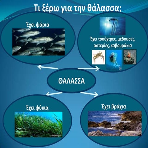παρουσίαση τι ξερω για την θαλασσα | PPTX