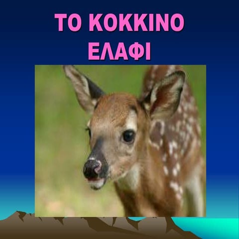 ΤΟ ΚΟΚΚΙΝΟ ΕΛΑΦΙ | PPT
