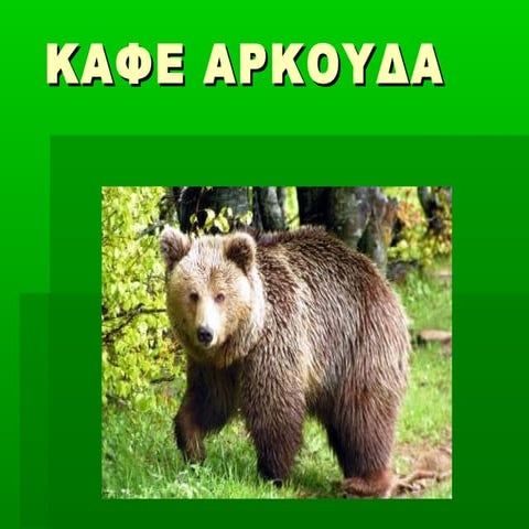 ΚΑΦΕ ΑΡΚΟΥΔΑ | PPT