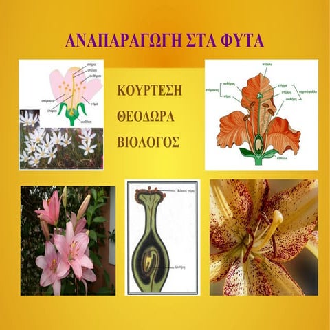 Η αναπαραγωγή στα φυτά βιολογία α γυμνασίου | PPS