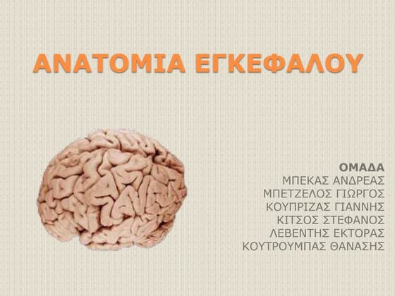 εγκέφαλος αρνιου | PPT