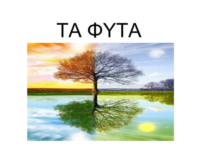 Φυτα | PPT