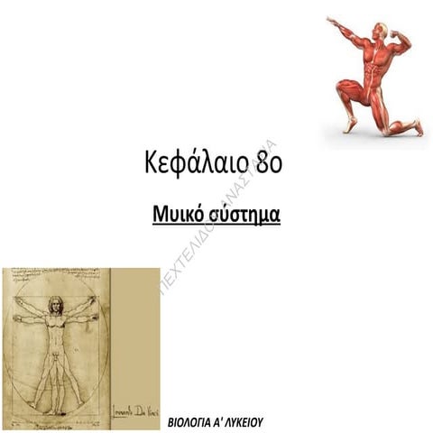 ΒΙΟΛΟΓΙΑ Α' ΛΥΚΕΙΟΥ Κεφ.8o: Μυικό σύστημα | PDF