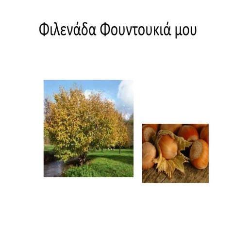 Φιλενάδα φουντουκιά μου | PDF