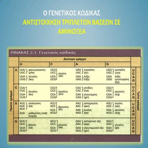 ο γεν.κωδικας ειναι η αντιστοιχηση | PPTX