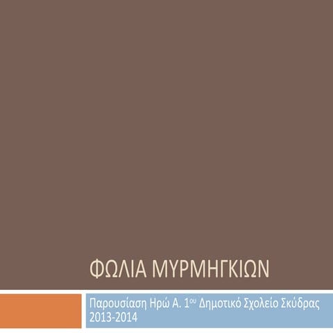 μυρμηγκοφωλιά | PPS