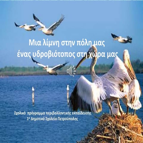 υδροβιότοποι ελλάδας | PPTX