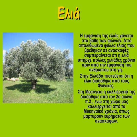 Μας έβγαλες το ...λάδι | PPT