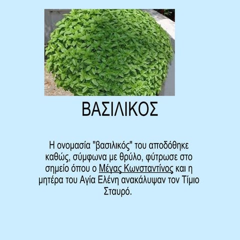 βασιλικος | PPT